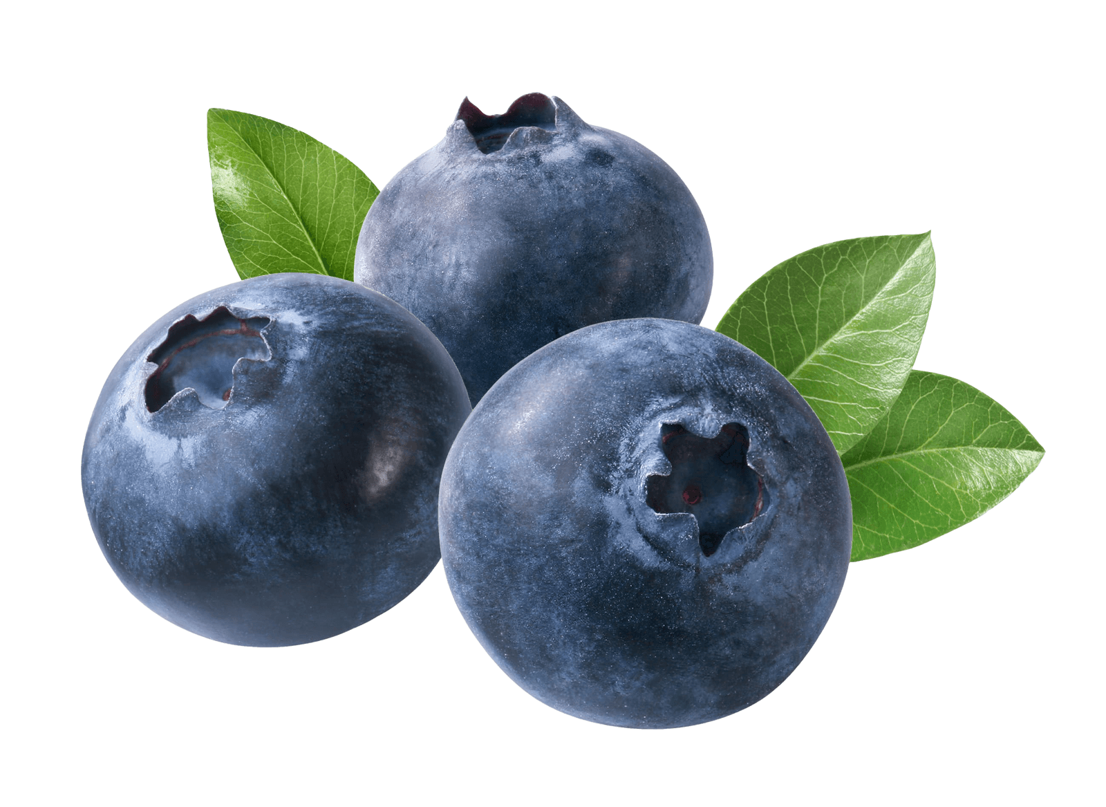 Fresh Inset | Protection for fruits and vegetables